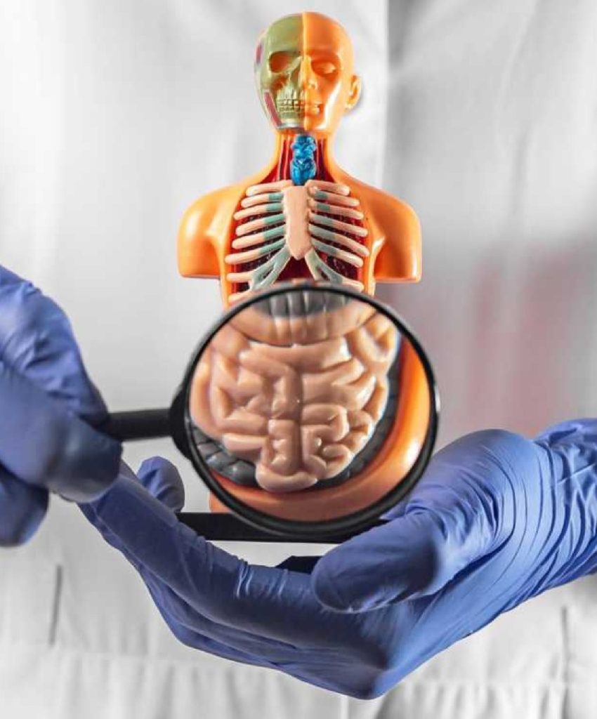 Gastroenterology & Endoscopy – DR. SATTIAN KOLLANTHAVELU